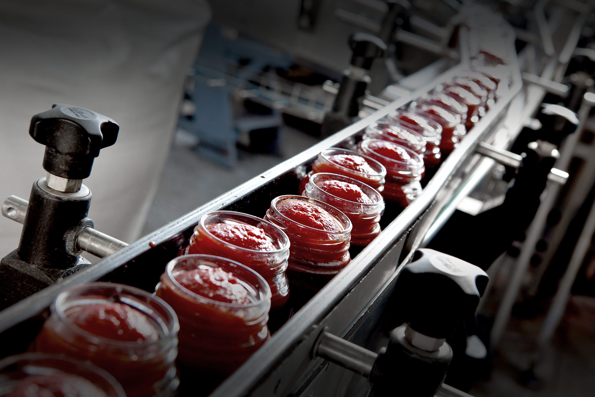 Food Ingredients - Polypan